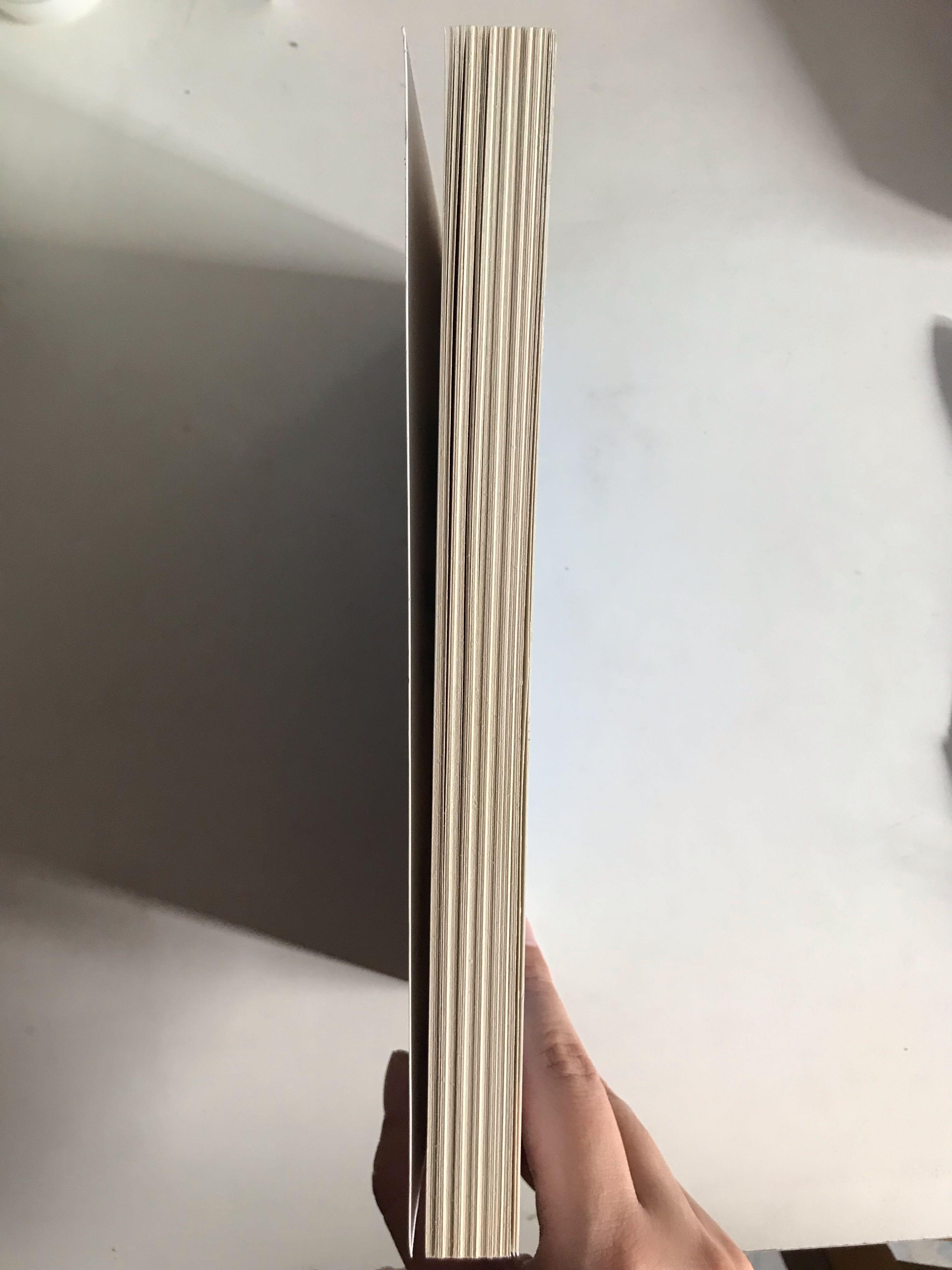 If It Were Up to Mrs Dada by Carissa Foo, Hobbies & Toys, Books ...