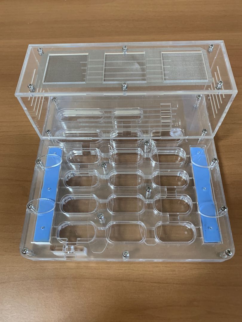 Antscanada replica omni nest (ant farm), Pet Supplies, Homes & Other ...