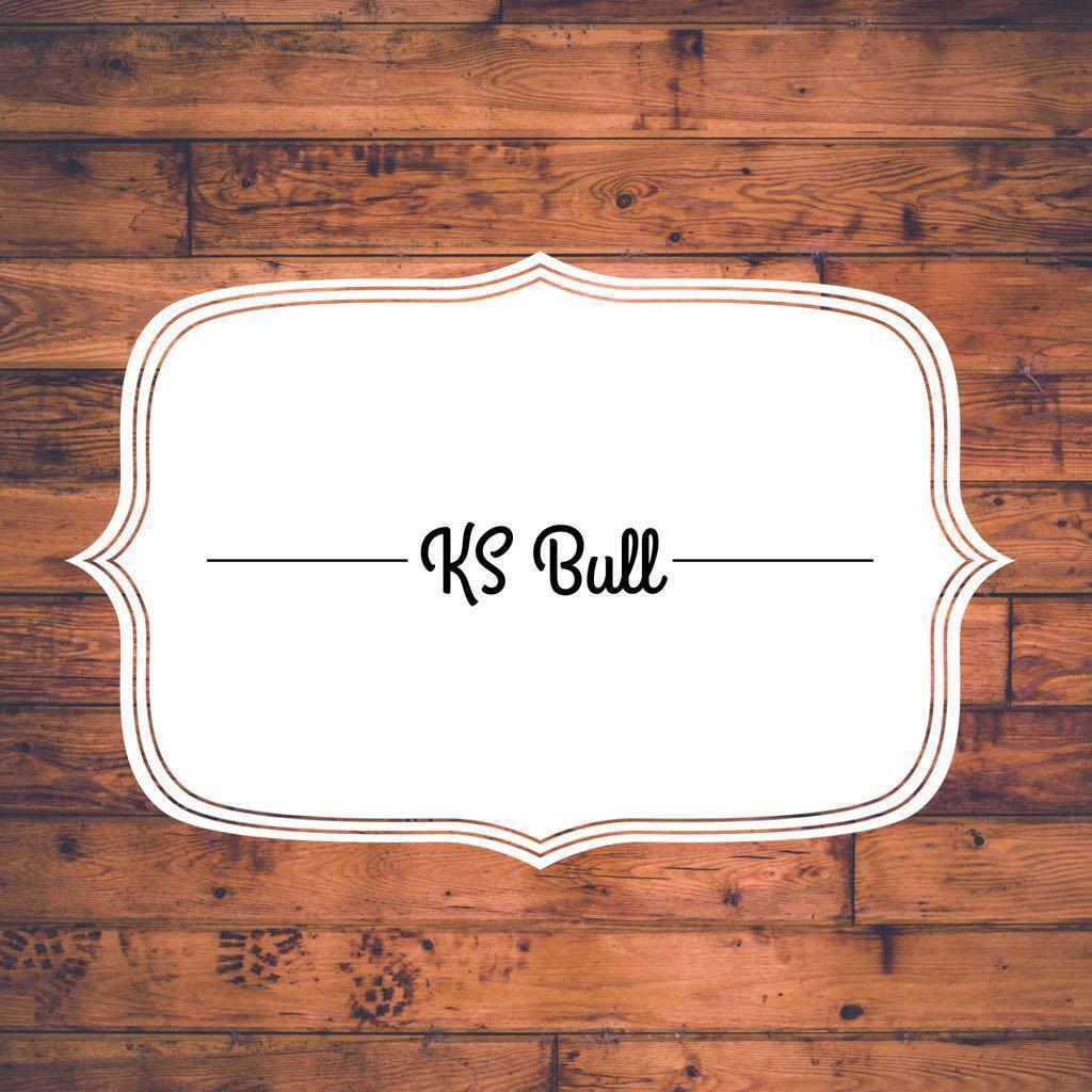 Softcopy KS Bull, Hobbies & Toys, Books & Magazines, Textbooks on Carousell