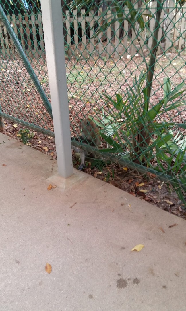 Brawl stars group chat, Video Gaming, Gaming Accessories, Game Gift ...