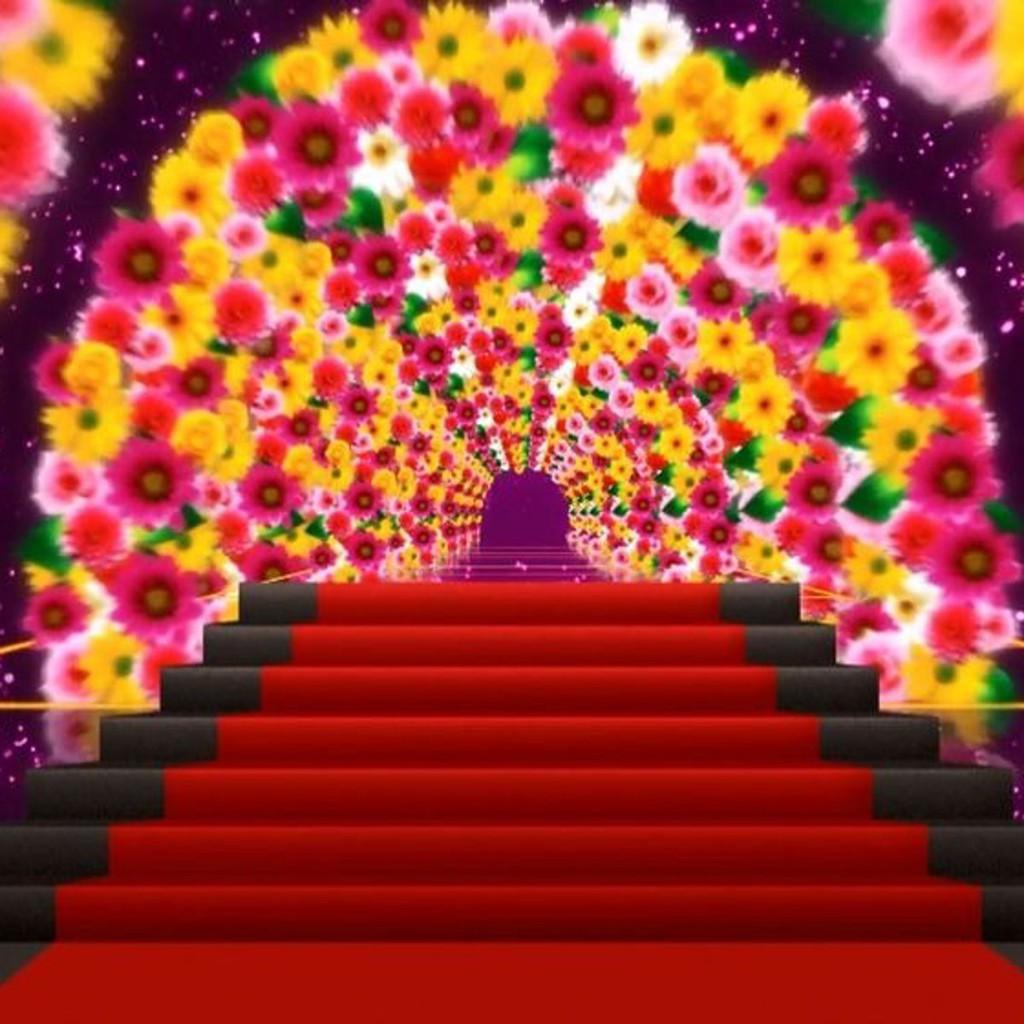 66ft Large VIP Red Carpet Floor Runner Mat Hollywood Birthday Party ...