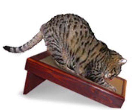 Purrfect Post Cat Scratching Post Angle Scratch Surface, Pet Supplies ...
