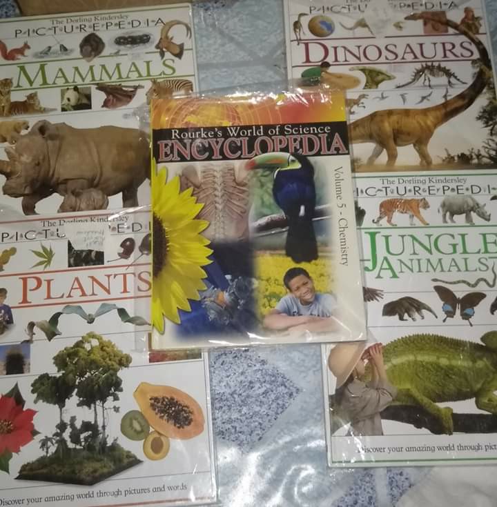 Dk picture pedia, Hobbies & Toys, Books & Magazines, Children's Books ...