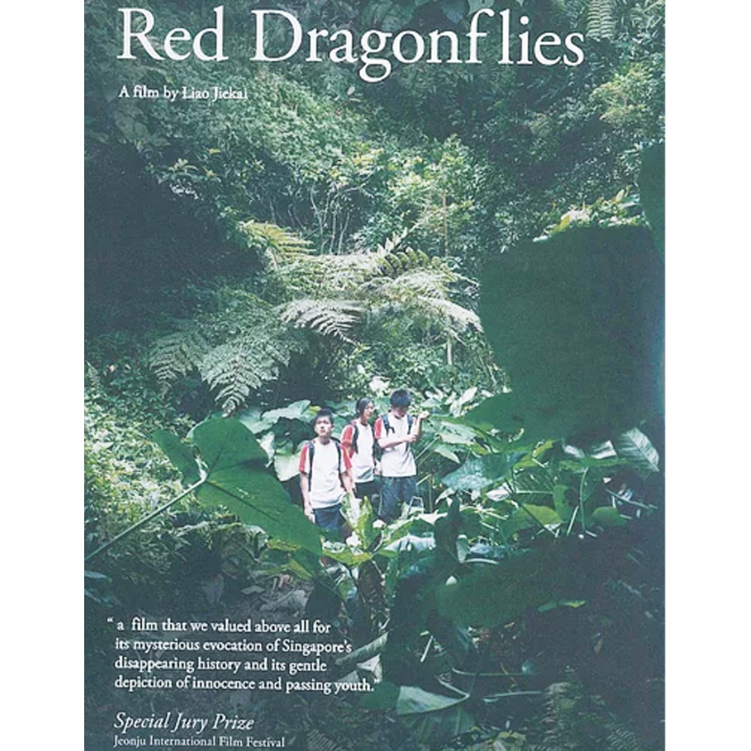 Red Dragonflies Singapore Movie DVD (Imported), Hobbies & Toys, Music ...