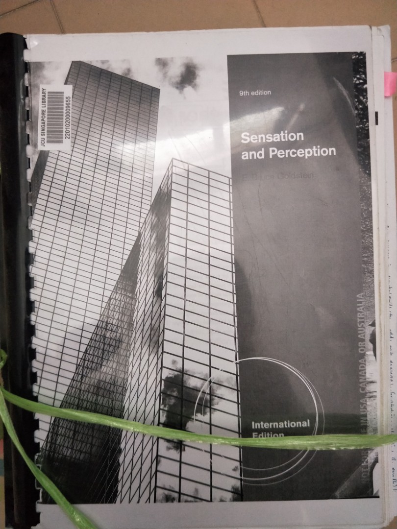 Sensing and Perception Psychology, Hobbies & Toys, Books & Magazines ...