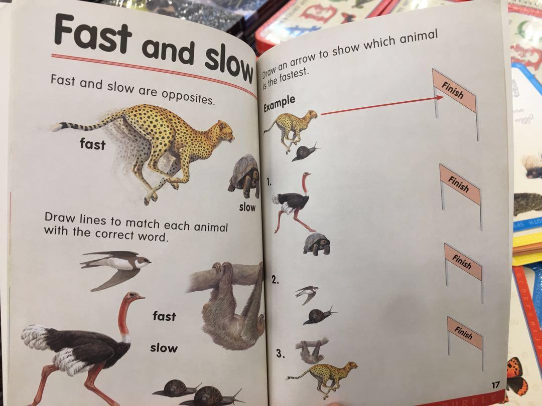 ABC Look & Learn Activity Set on Carousell