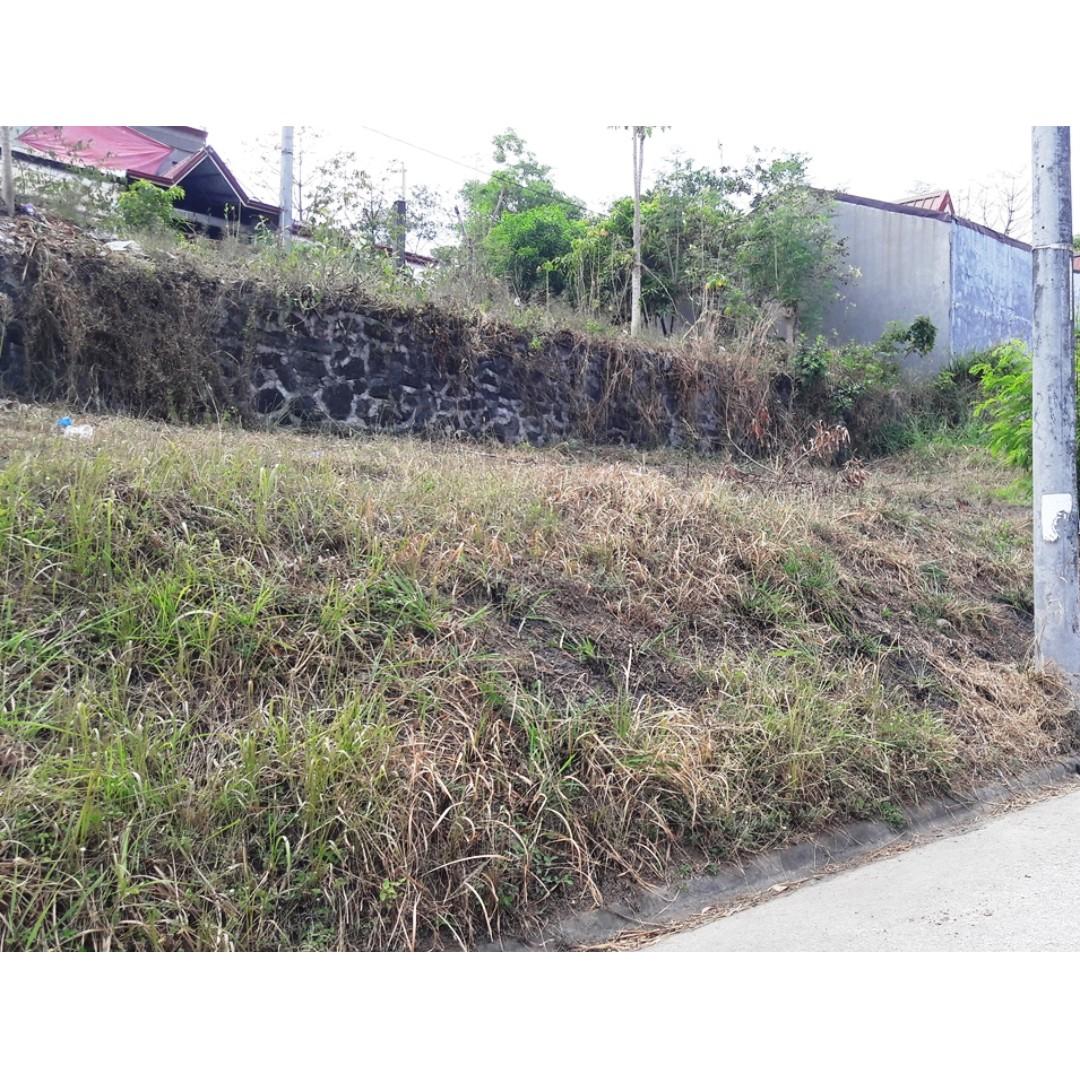 FOR SALE RESIDENTIAL LOT, Property, For Sale, Lot on Carousell