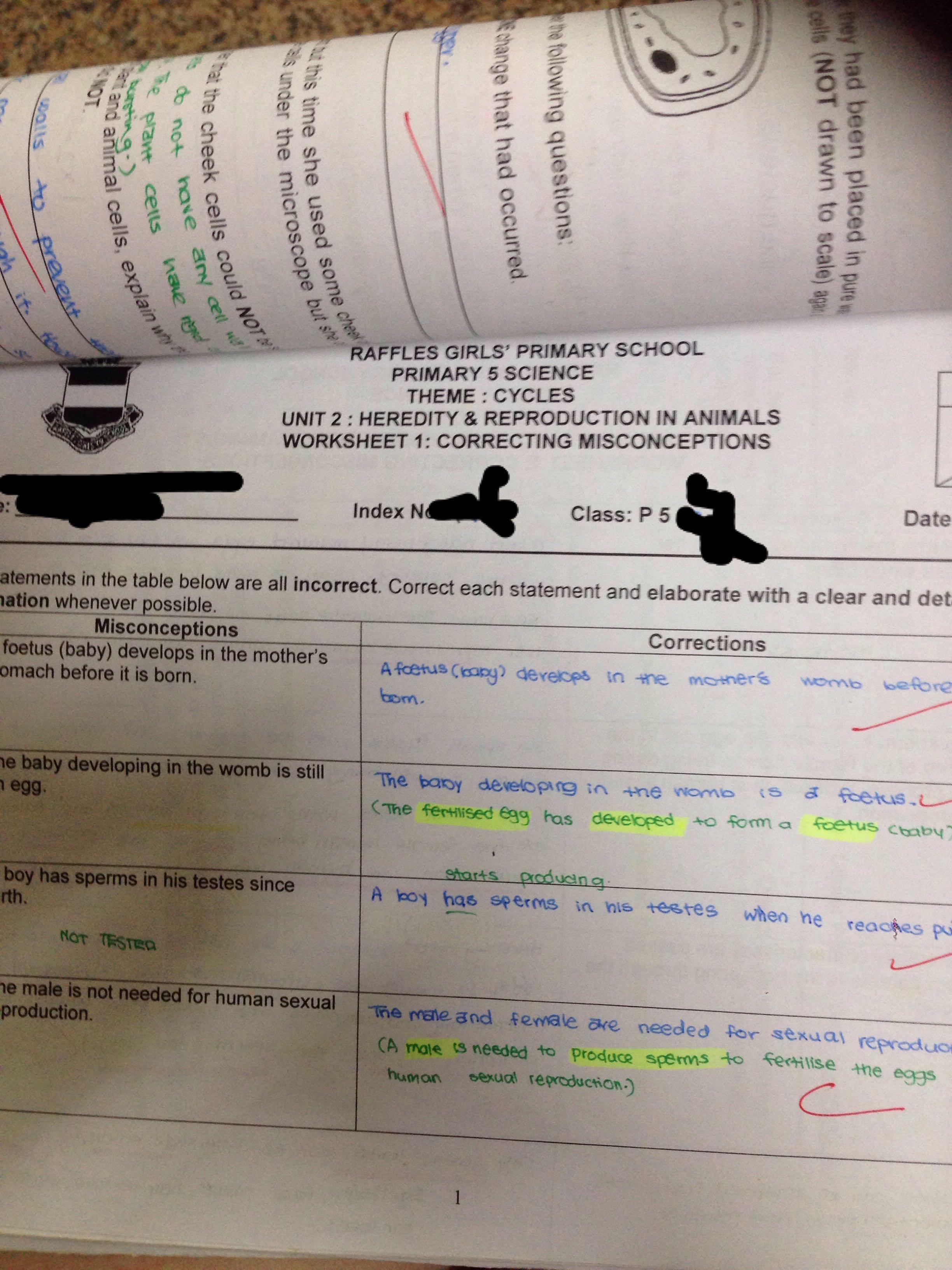 RGPS P5 Science File, notes, worksheets, Raffles Girls topical revision ...