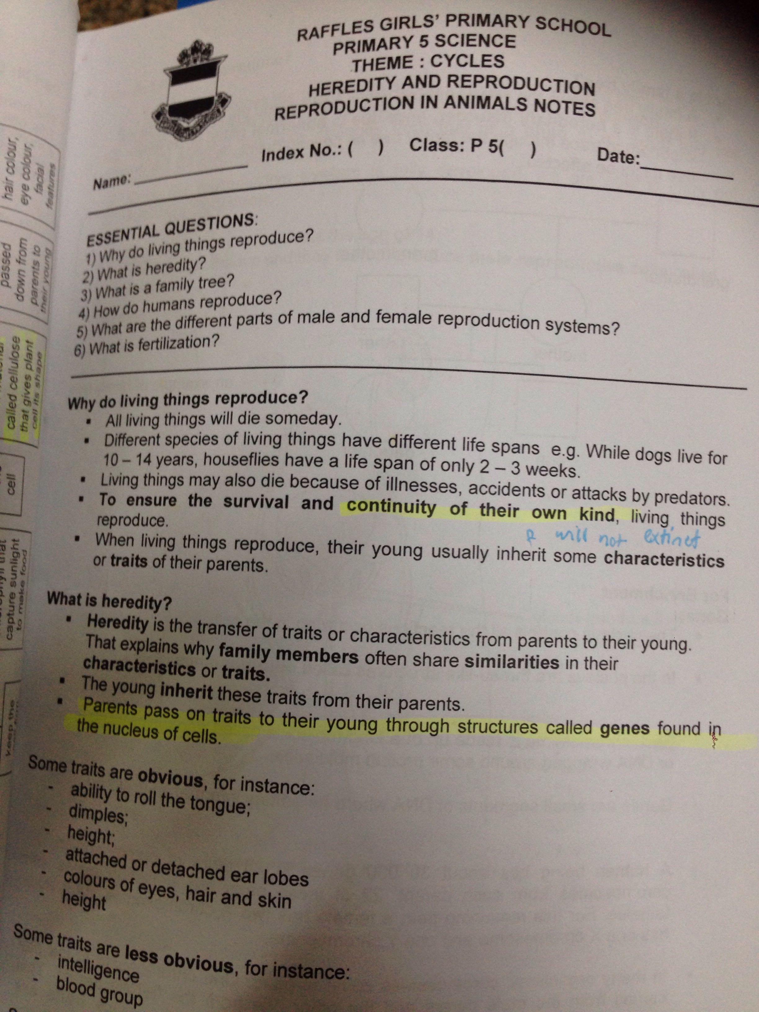 RGPS P5 Science File, notes, worksheets, Raffles Girls topical revision ...