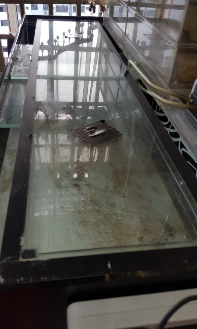 3ft Tank complete set, Pet Supplies, Homes & Other Pet Accessories on ...