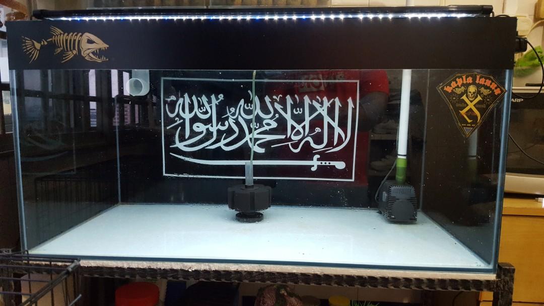 3ft Tank complete set, Pet Supplies, Homes & Other Pet Accessories on ...