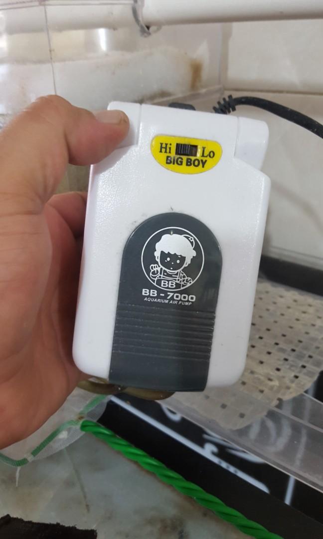 3ft Tank complete set, Pet Supplies, Homes & Other Pet Accessories on ...