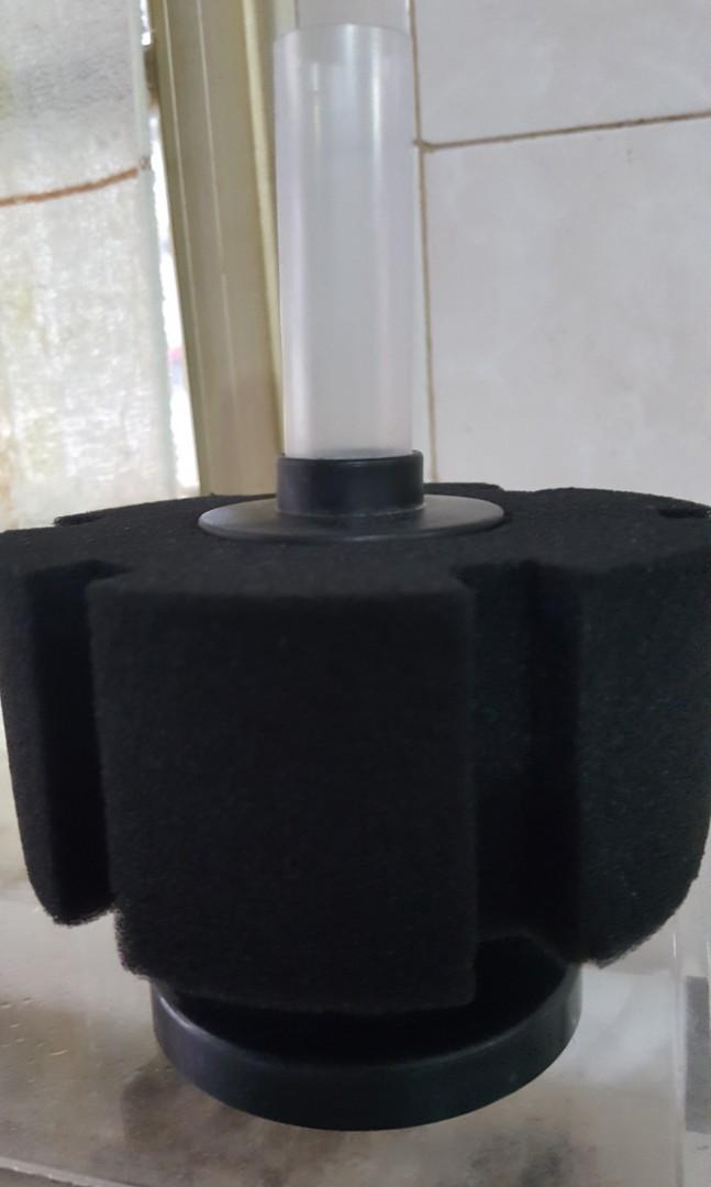 3ft Tank complete set, Pet Supplies, Homes & Other Pet Accessories on ...