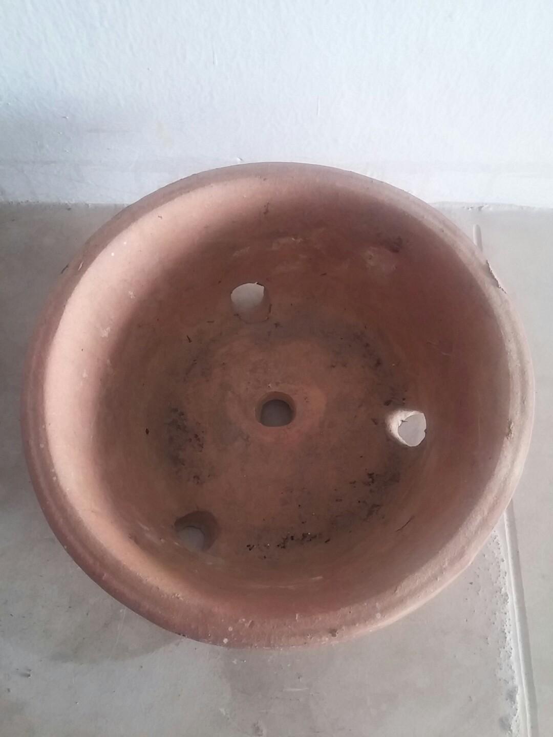 Rare wide shallow clay pot, Furniture & Home Living, Gardening, Pots ...