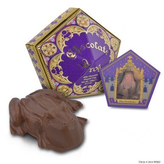Chocolate Frog With Albus Dumbledore card, Everything Else on Carousell