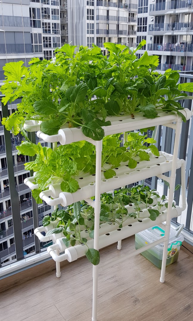 Complete 108 pots Hydroponic Set with fertiliser and seeds, Furniture ...