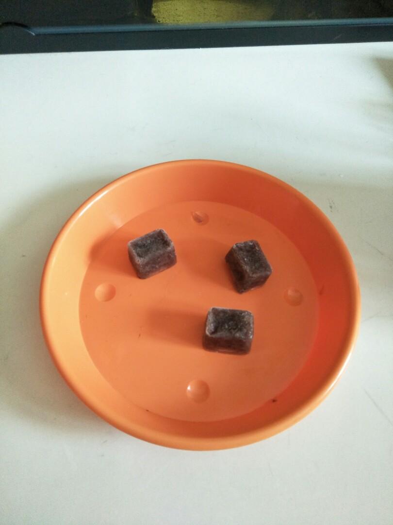 Seachem Kanaplex medicated food, Pet Supplies, Pet Food on Carousell