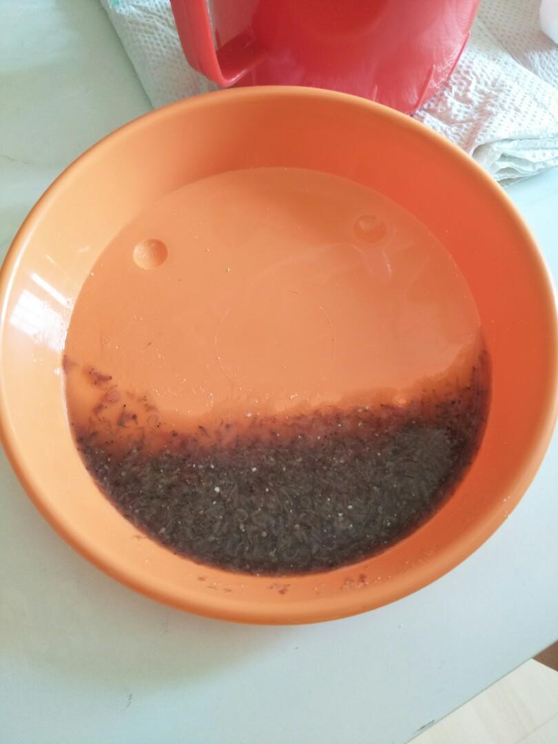 Seachem Kanaplex medicated food, Pet Supplies, Pet Food on Carousell