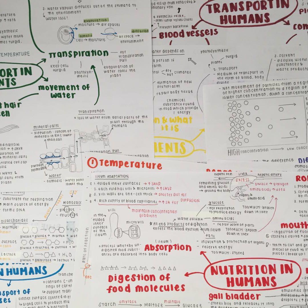 sec 3 and 4 combined science - biology chemistry notes, Hobbies & Toys ...