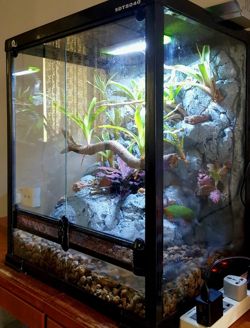 Terrarium (Atasuki brand), Pet Supplies, Homes & Other Pet Accessories ...