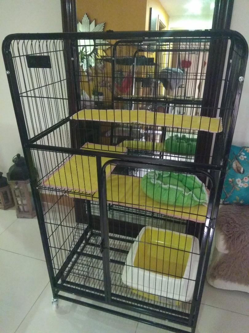 New installed thick frame 4-tier cage for sale! With cushion pad on ...