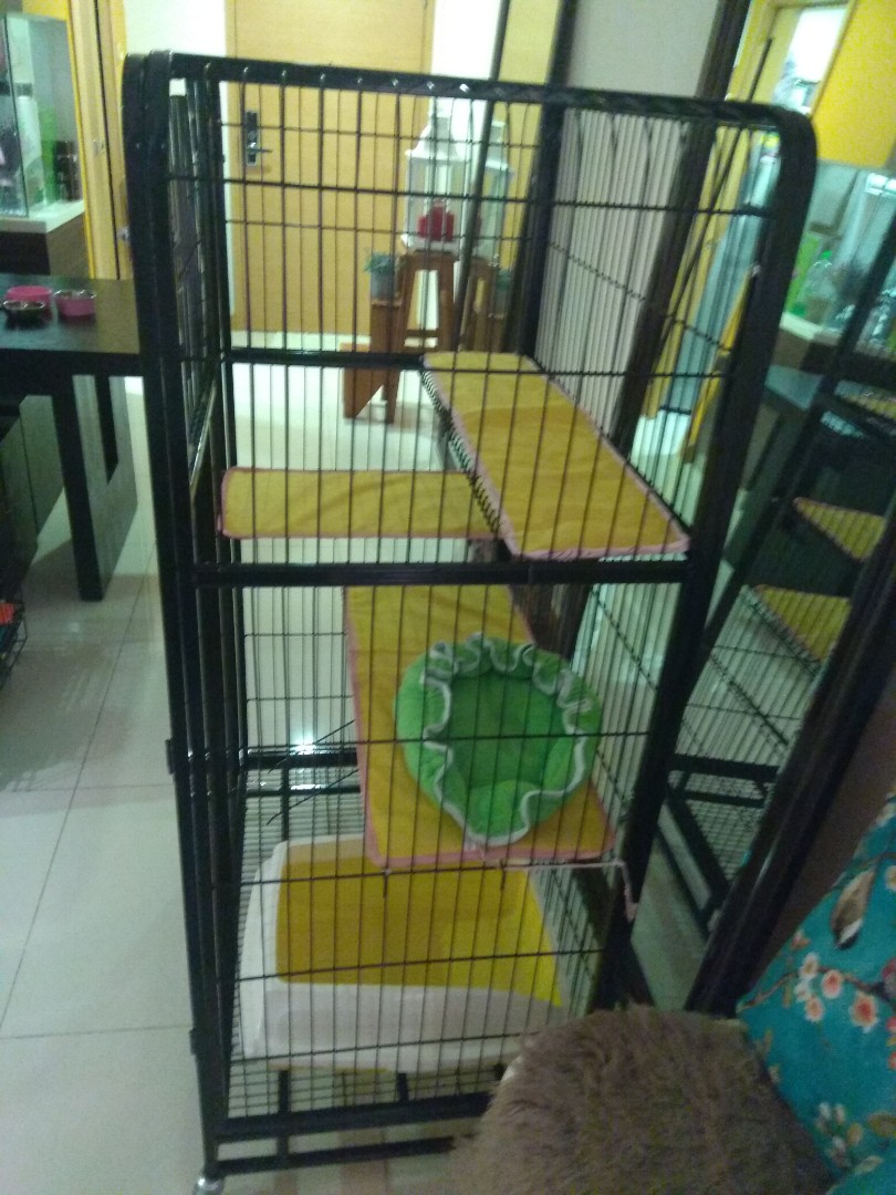 New installed thick frame 4-tier cage for sale! With cushion pad on ...