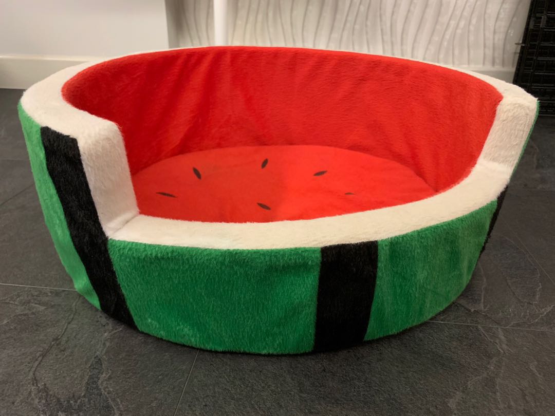 Watermelon bed, Pet Supplies, Homes & Other Pet Accessories on Carousell