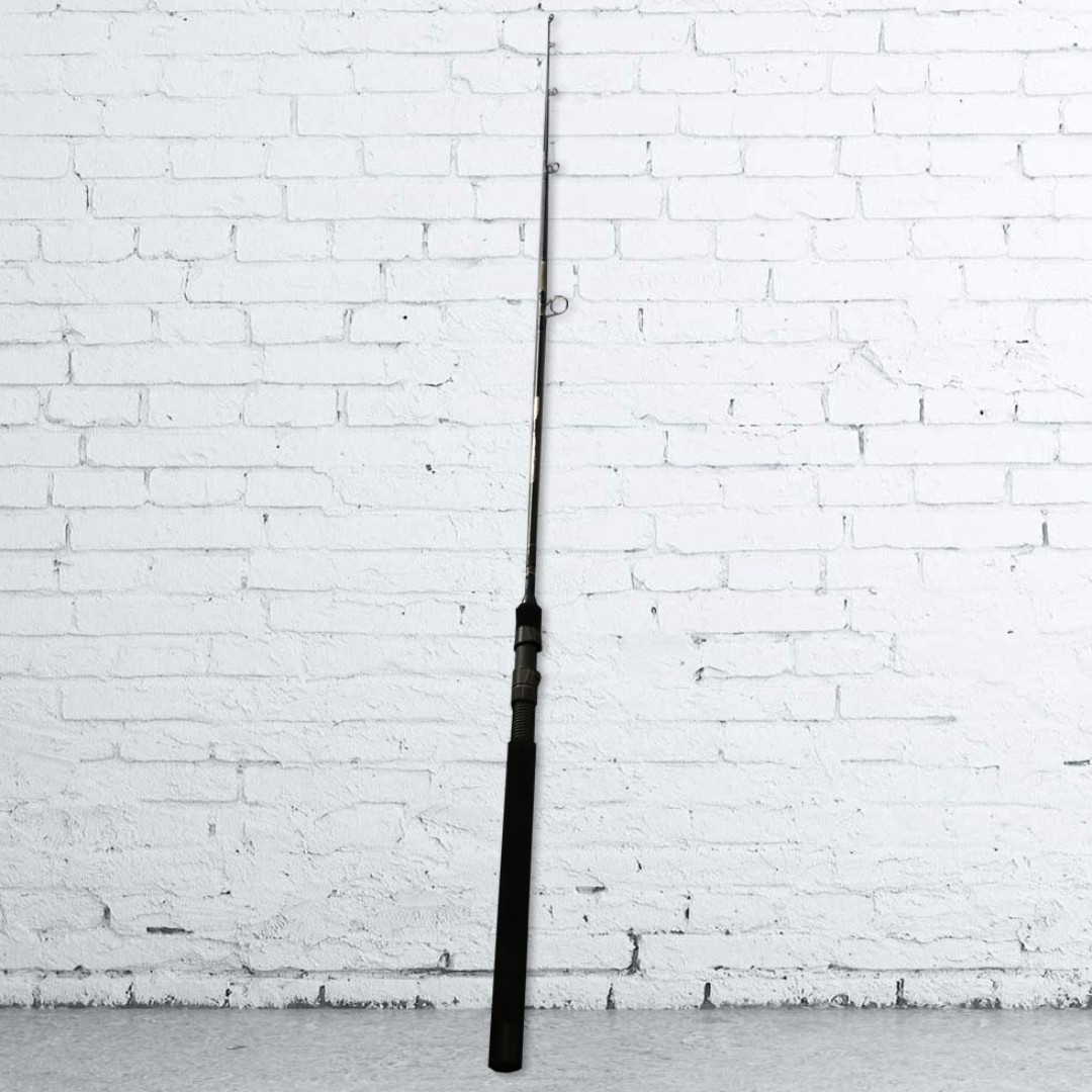 Abu 282 Spinning Vintage Fishing Rod (Collector's Item), Sports ...