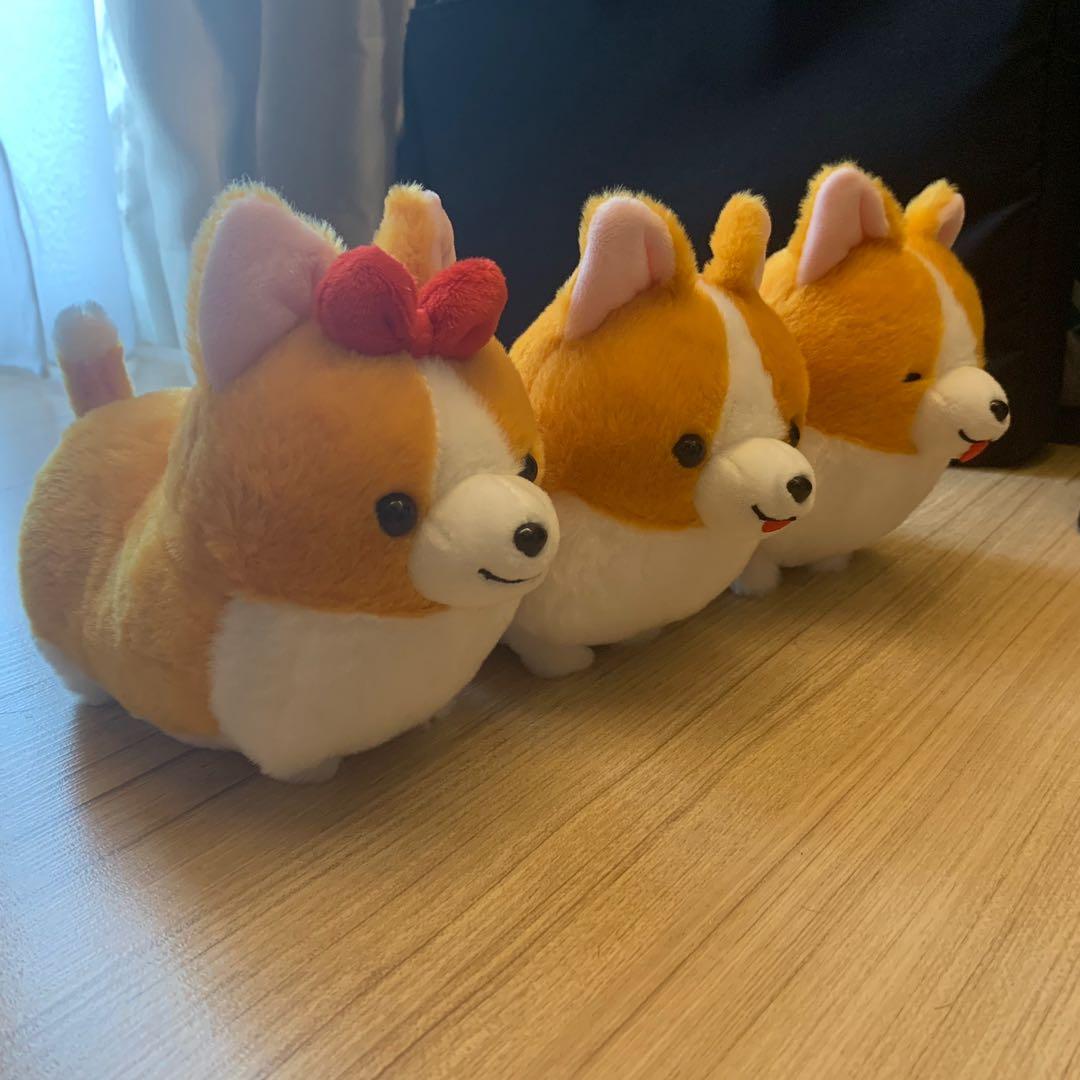 [Set of 3] AMUSE Corgi Plush, Hobbies & Toys, Toys & Games on Carousell