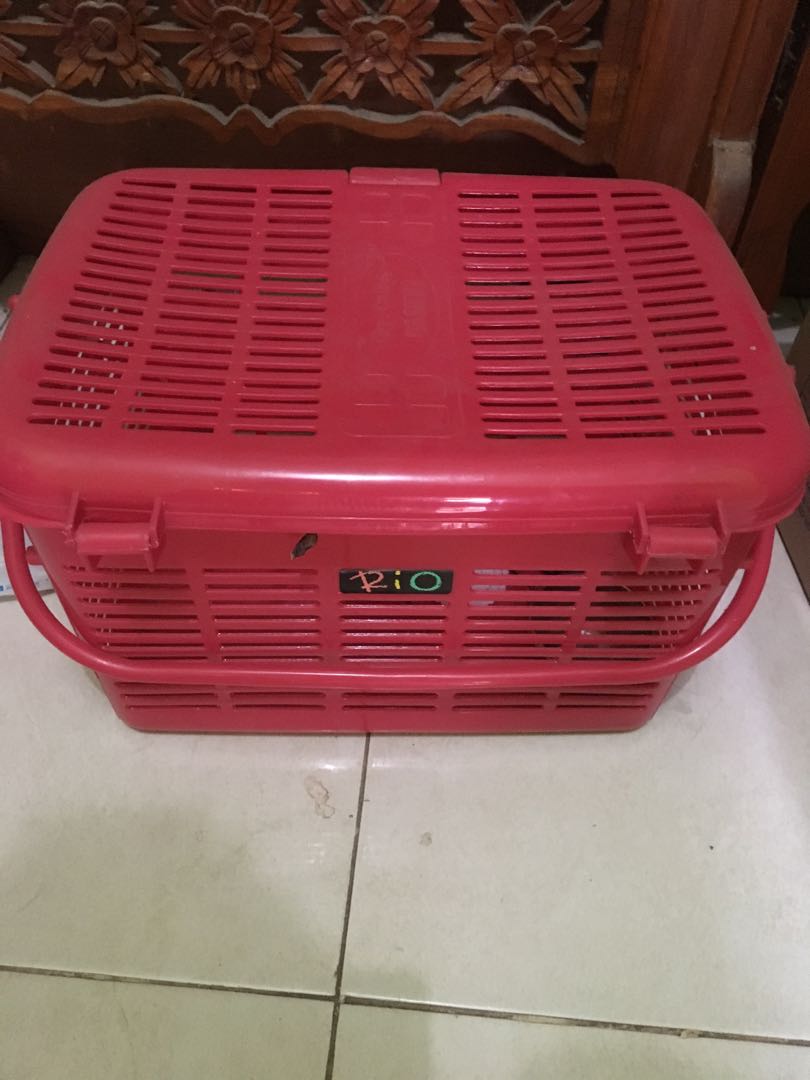 Pet Cargo / keranjang rio ukuran besar, Perlengkapan Hewan, Aksesoris ...