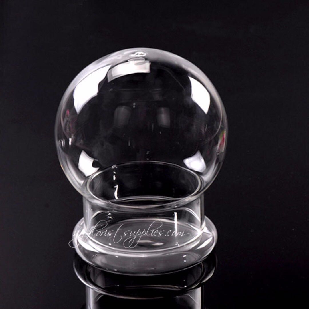 Terrarium Container: Sphere Shape Glass Vase Globe Dome, Gardening on ...