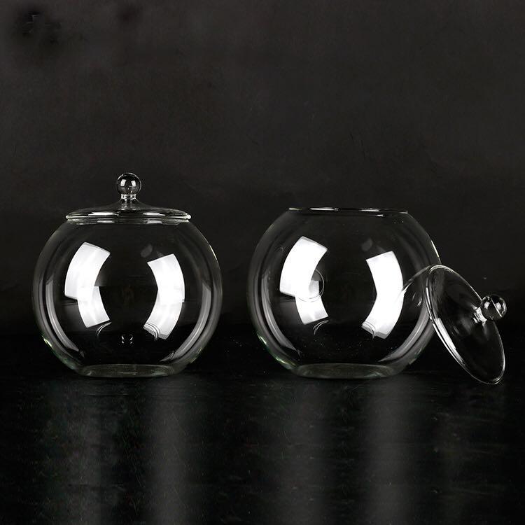 Terrarium Container: Sphere Shape Glass Vase Globe Dome, Gardening on ...