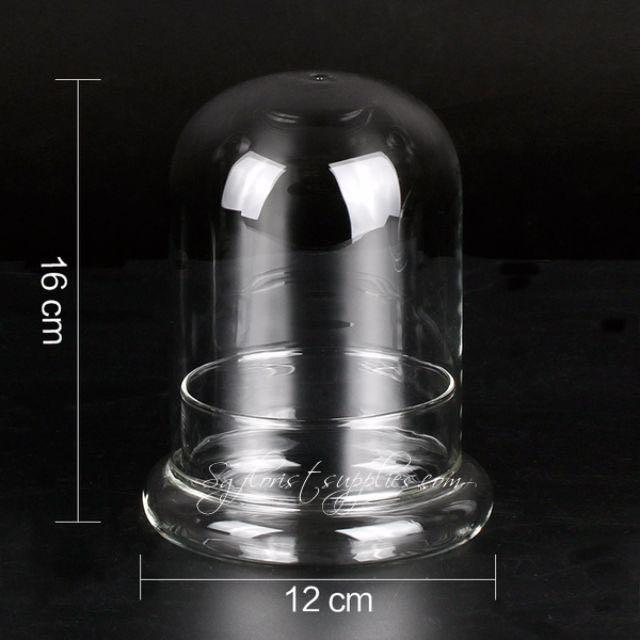 Terrarium Container: Sphere Shape Glass Vase Globe Dome, Gardening on ...