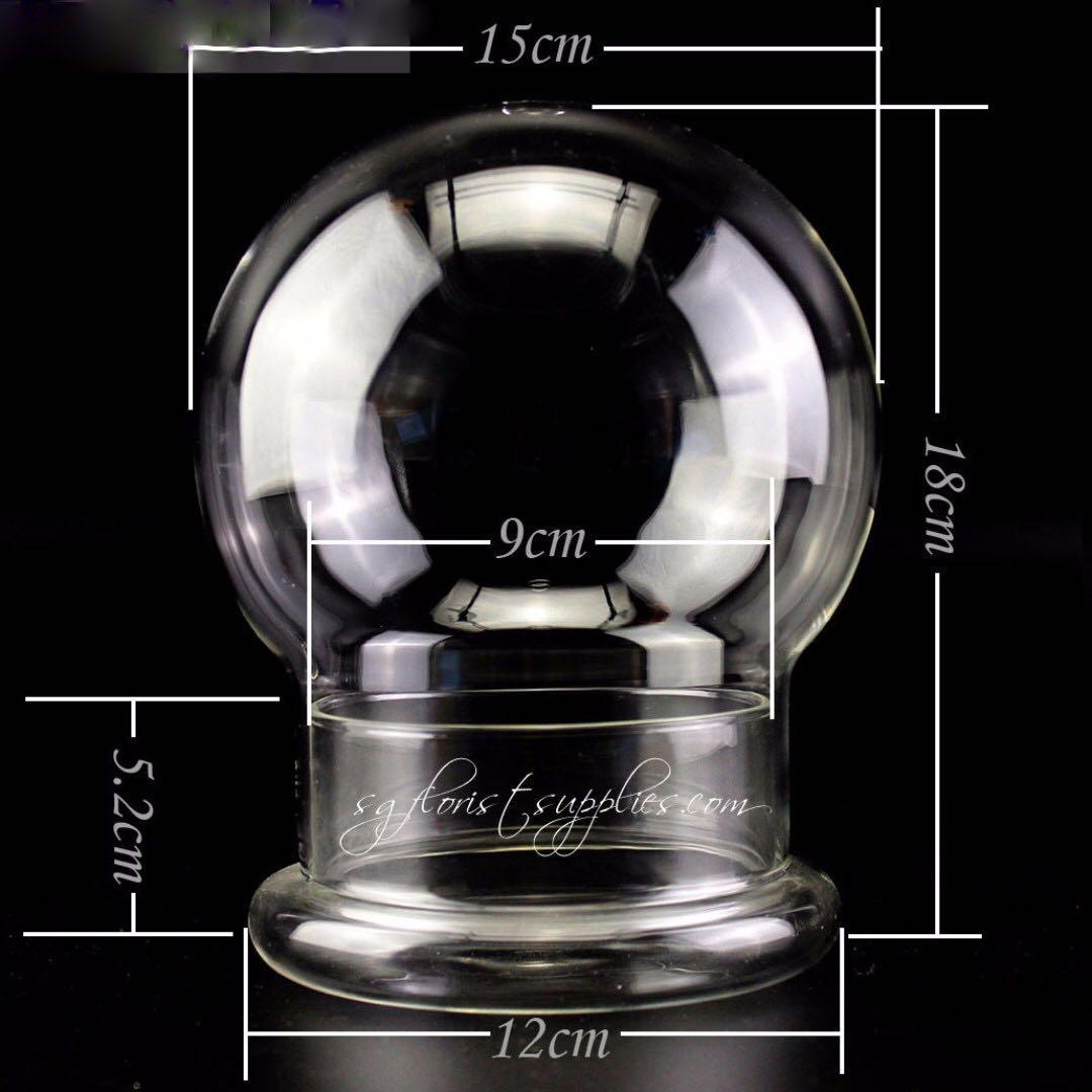 Terrarium Container: Sphere Shape Glass Vase Globe Dome, Gardening on ...