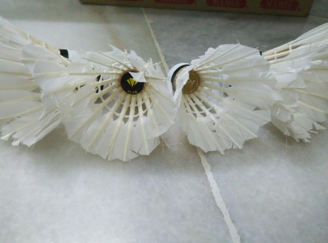 2nd hand badminton shuttles, Sports Equipment, Sports & Games, Racket ...