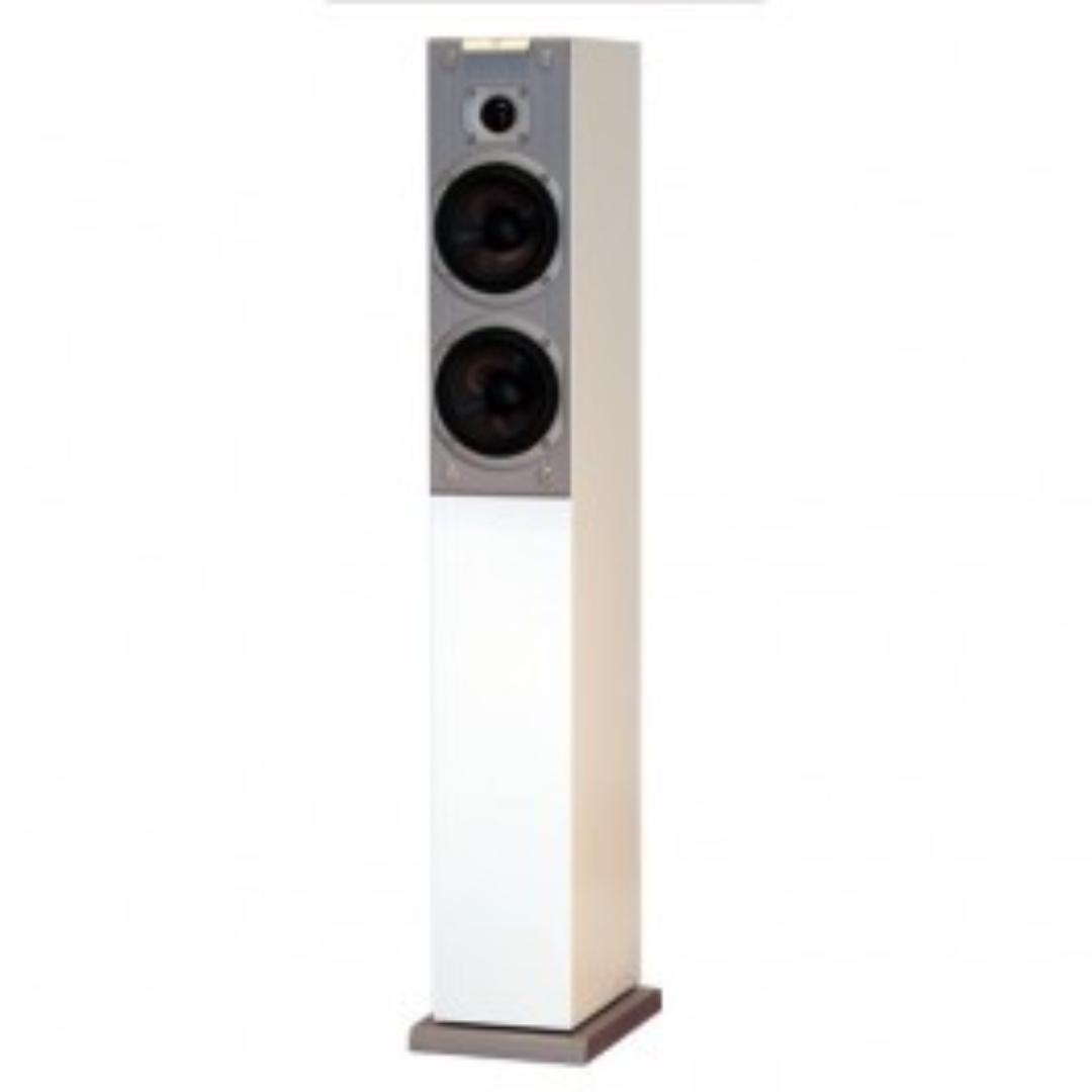 AudioVector Ki3 Signature 2.5-way FloorStand Loudspeaker from Denmark ...