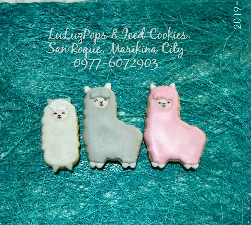 Alpaca Christening Themed Sugar Cookies, Food & Drinks, Homemade Bakes ...