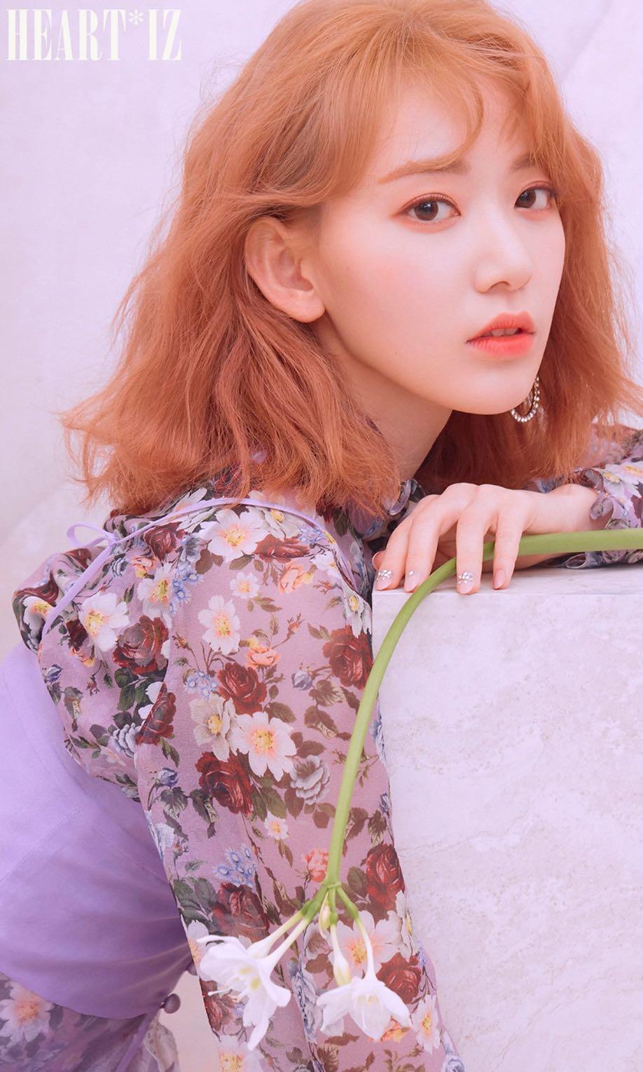 Iz*one Heart*Iz Signature Kihno Set (Violeta+Sapphire)Izone, Hobbies ...