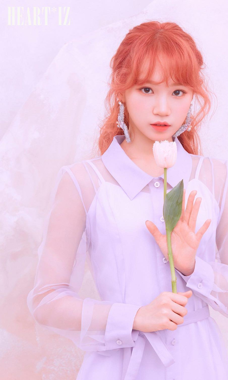 Iz*one Heart*Iz Signature Kihno Set (Violeta+Sapphire)Izone, Hobbies ...