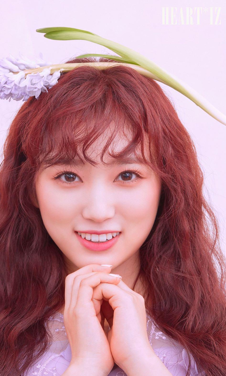 Iz*one Heart*Iz Signature Kihno Set (Violeta+Sapphire)Izone, Hobbies ...