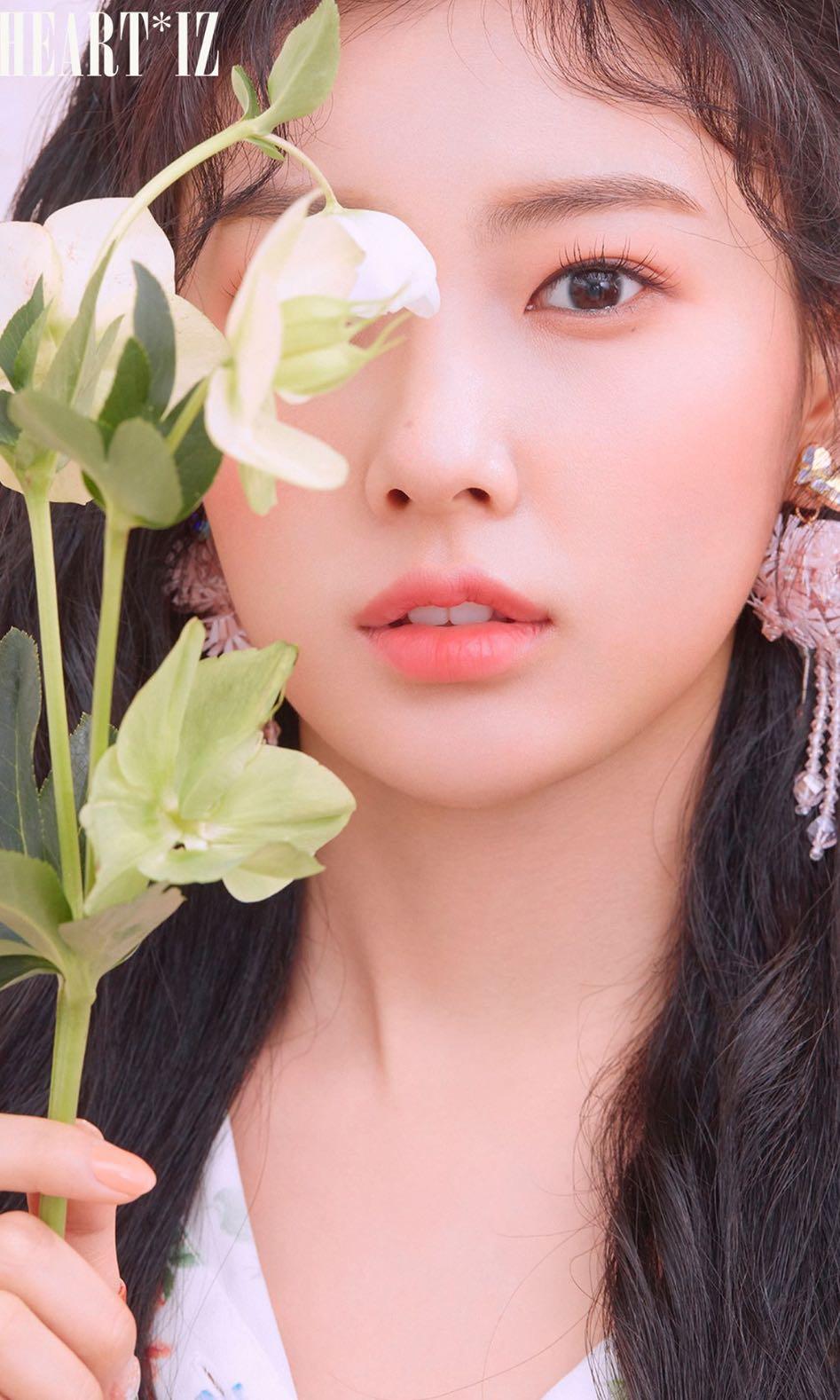 Iz*one Heart*Iz Signature Kihno Set (Violeta+Sapphire)Izone, Hobbies ...