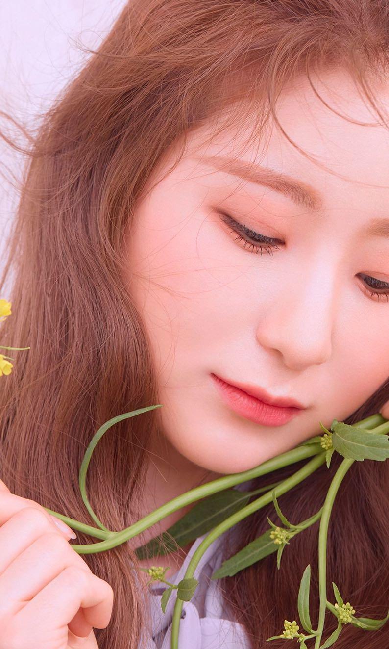 Iz*one Heart*Iz Signature Kihno Set (Violeta+Sapphire)Izone, Hobbies ...