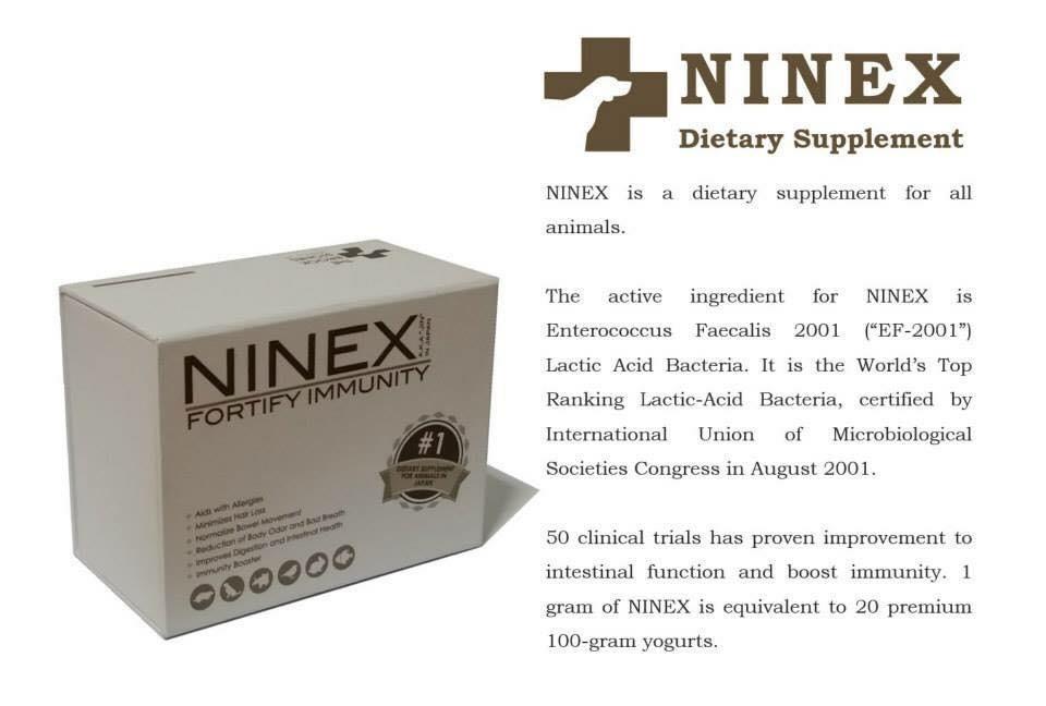 Ninex Fortify Immunity, Pet Supplies, Health & Grooming on Carousell