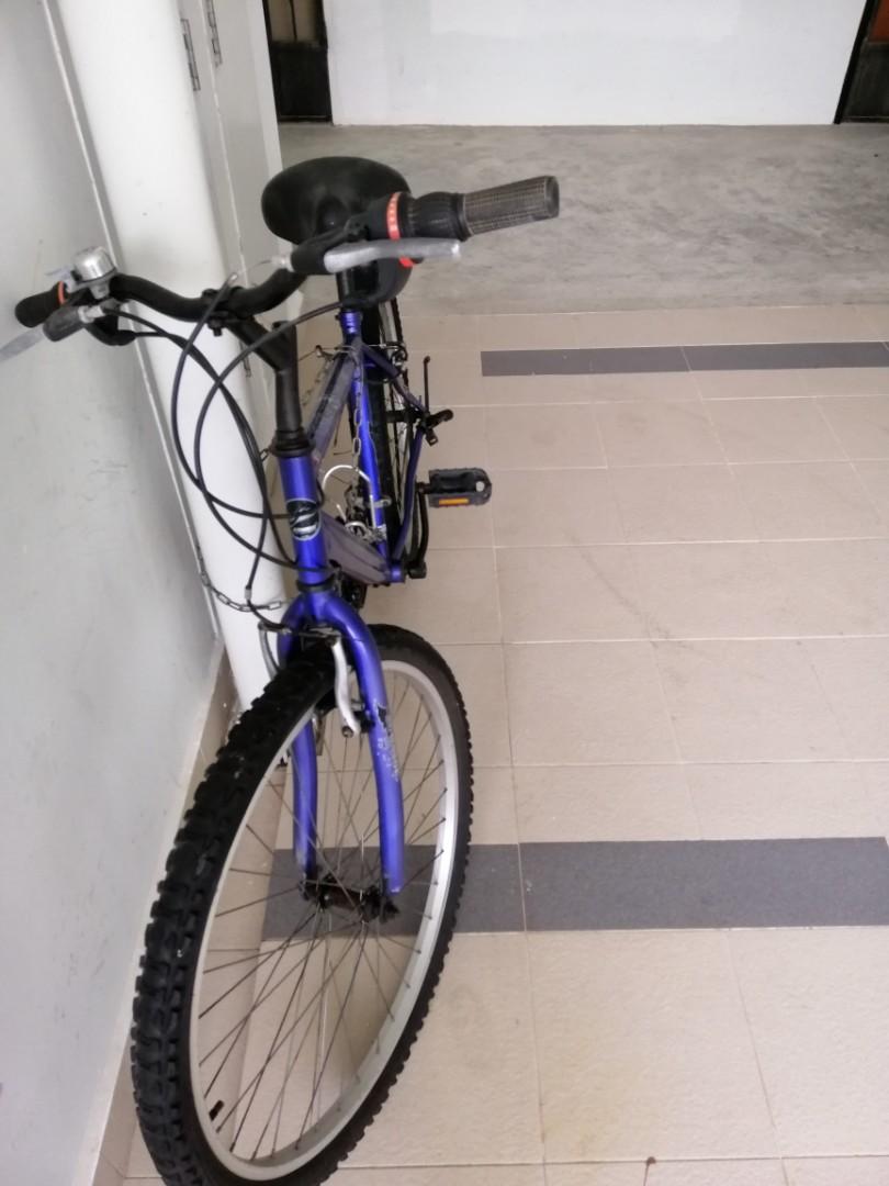 Aleoca Purple Mountain bike 18 speed, Sports Equipment, Bicycles ...