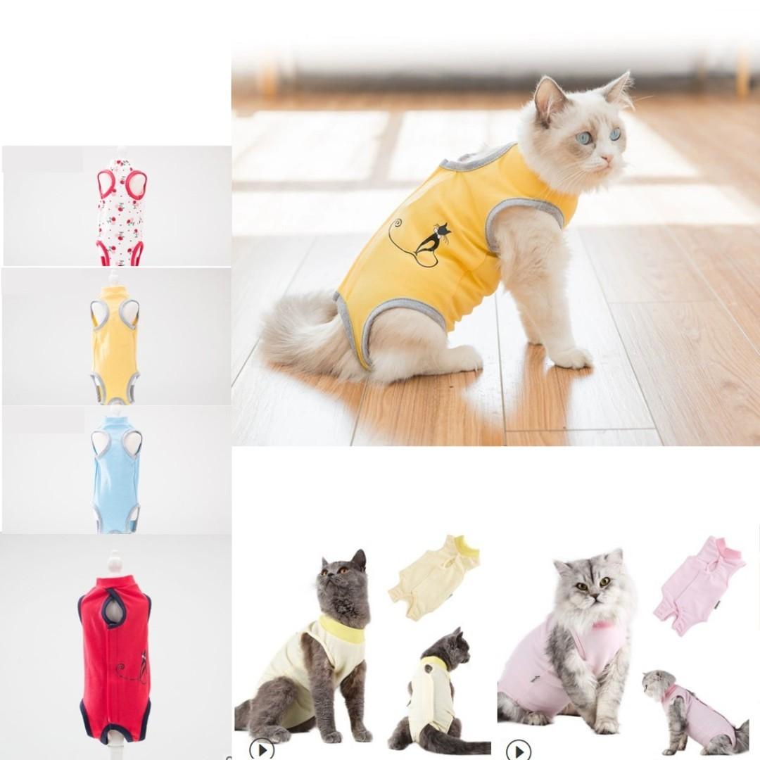 cat kitten surgery suit clothes spay neuter shirt, not carrier cage ...