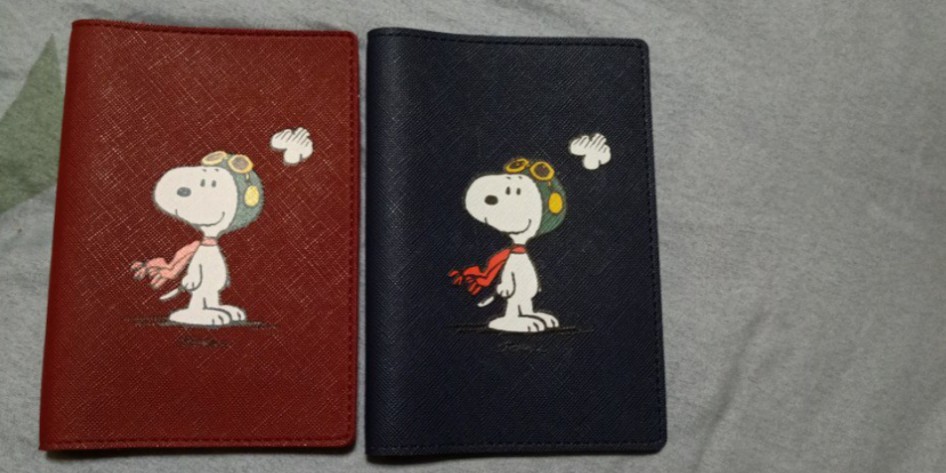 Snoopy Passport holder, Everything Else on Carousell