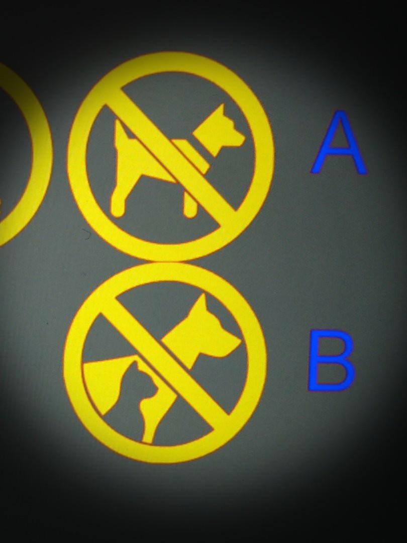 Car warning signs stickers (PHV) *No smoking, fasten seat belt, no ...