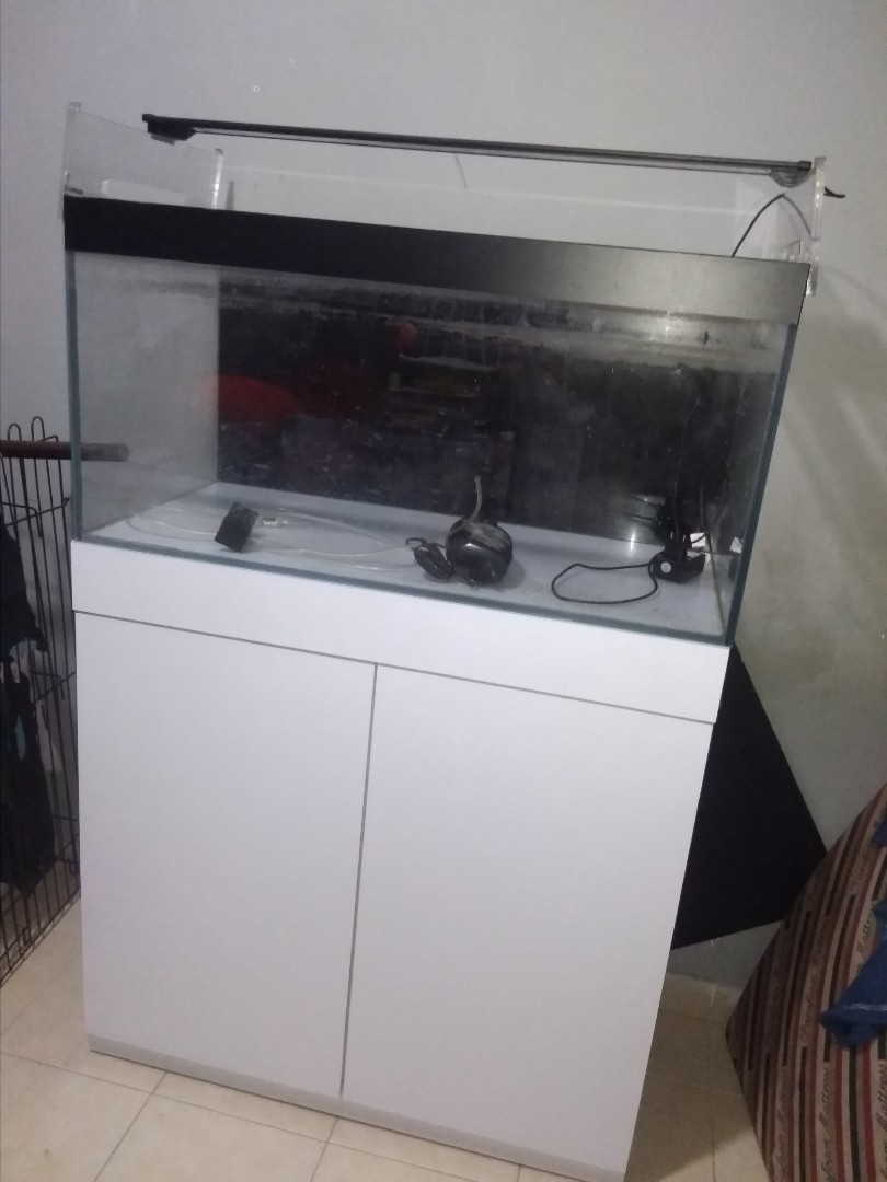 Full set, Pet Supplies, Homes & Other Pet Accessories on Carousell