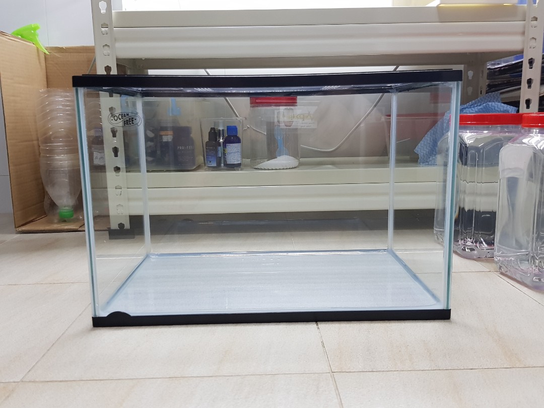 Ocean Free fish tank, Pet Supplies, Homes & Other Pet Accessories on ...