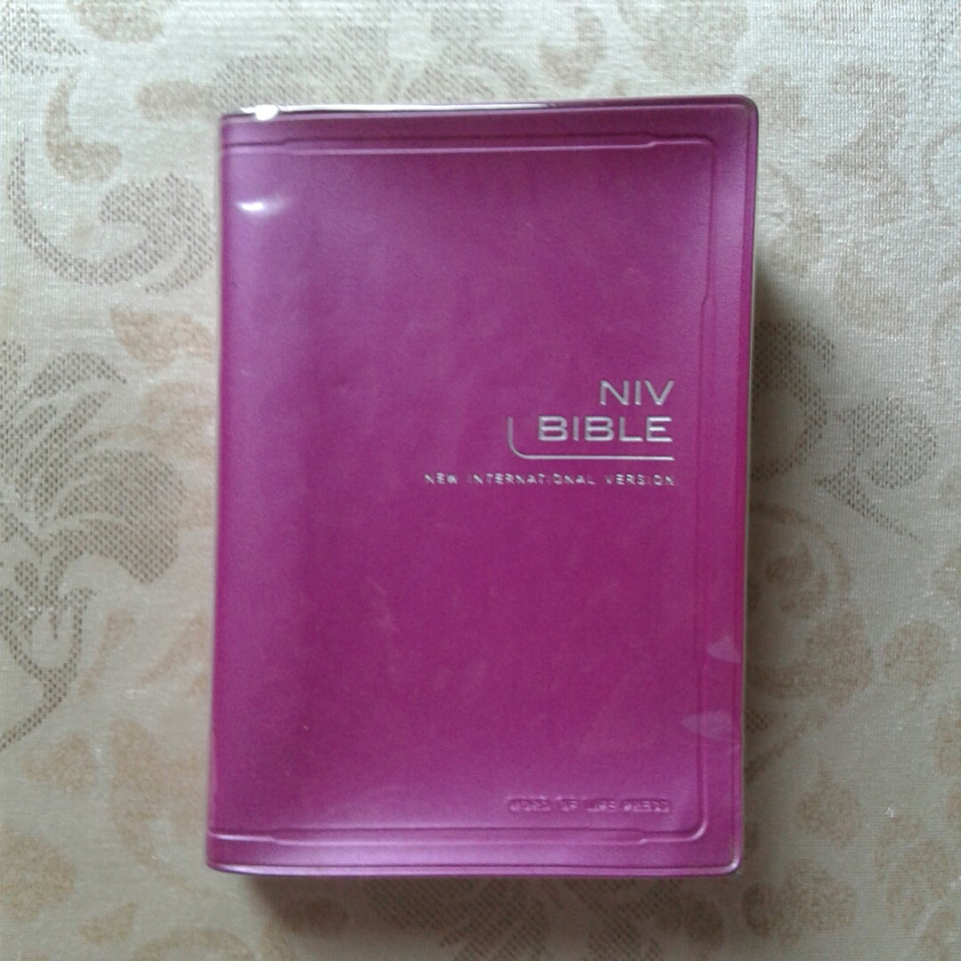 NIV Compact Bible, Hobbies & Toys, Books & Magazines, Fiction & Non ...